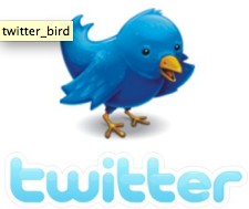 Twitter_bird_and_name - brandiD